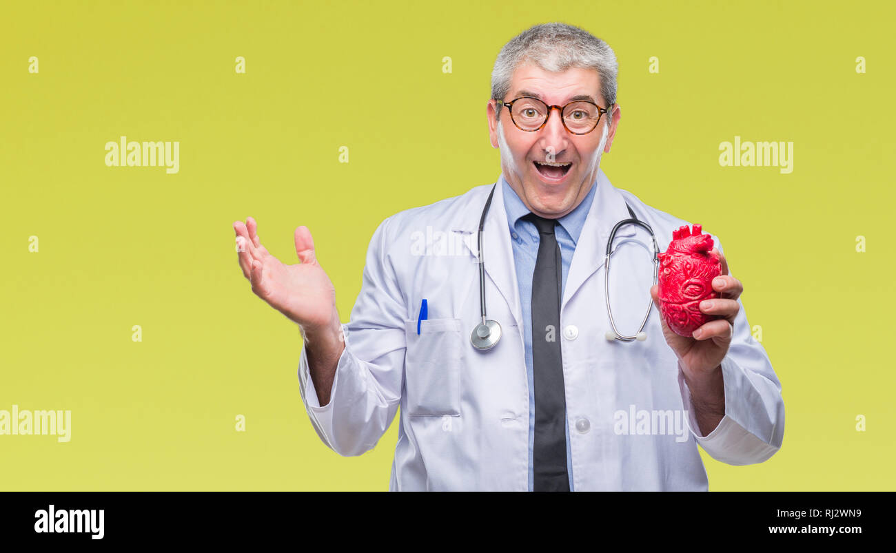 Handsome senior cardiologist doctor man holding heart over isolated ...