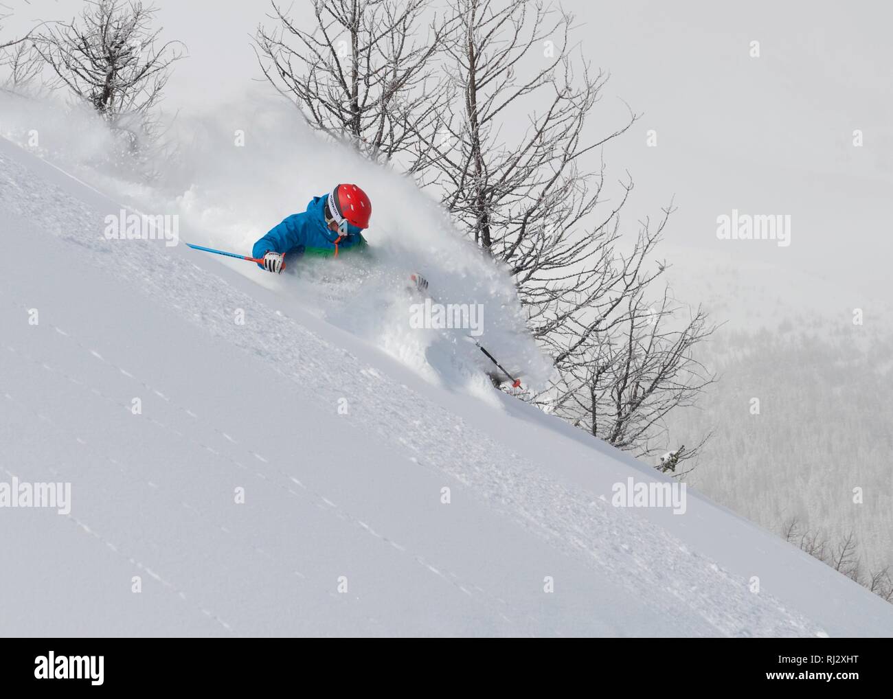 Spring powder snow in the Canadian Rockies Stock Photo - Alamy