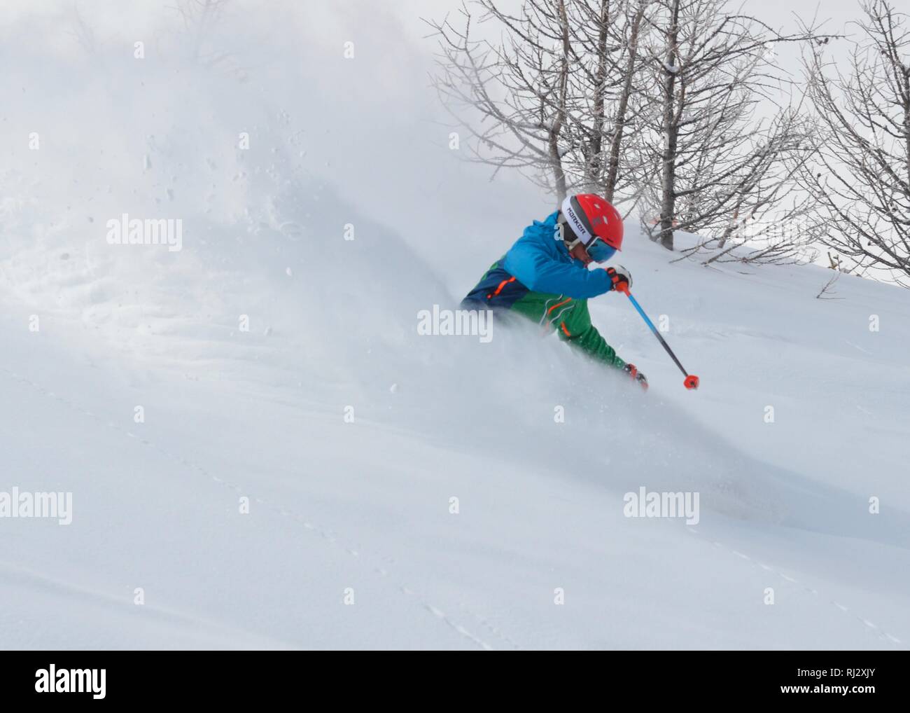 Powder snow in the Canadian Rockies Stock Photo - Alamy