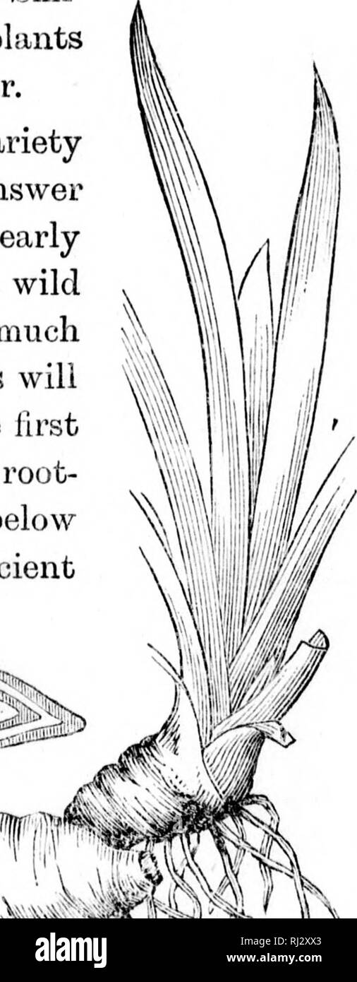V shape cross section hi-res stock photography and images - Alamy