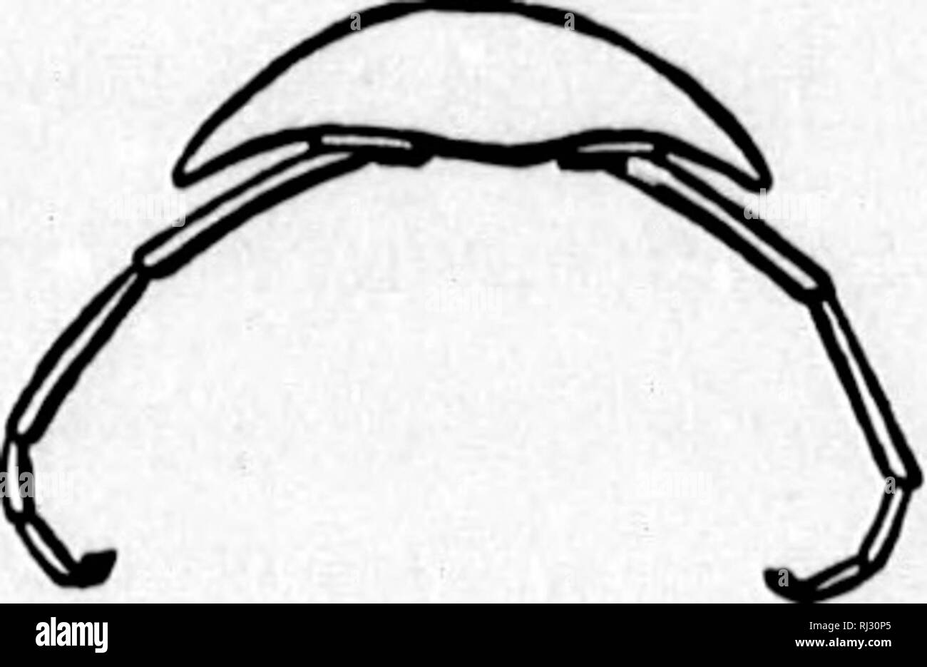 Spine lateral view Black and White Stock Photos & Images - Alamy