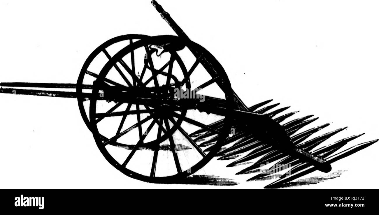 . The Canadian farmer's manual of agriculture [microform] : the ...