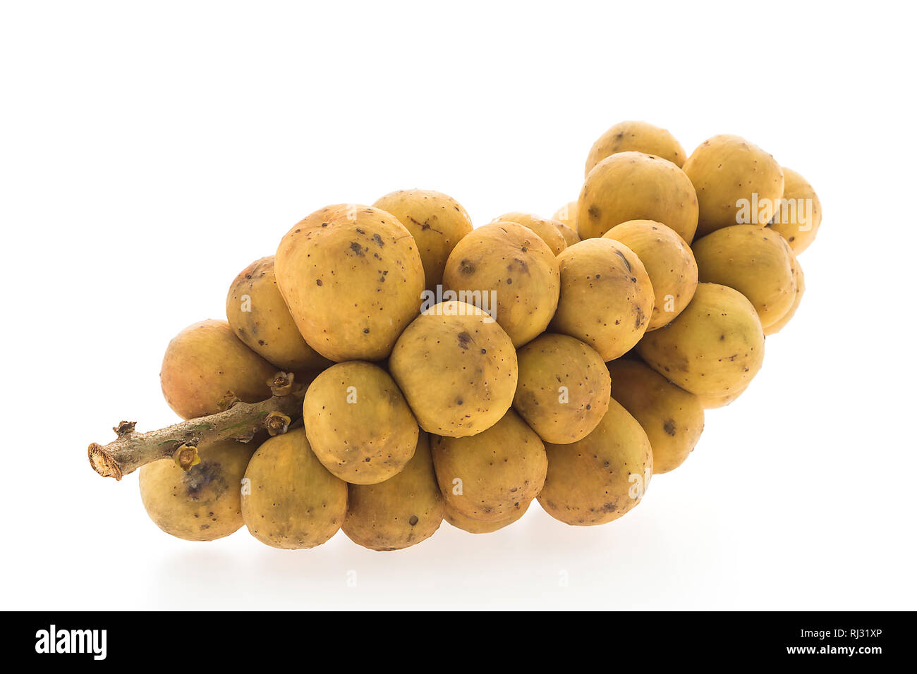 Longkong , langsat , Lanzones fruit isolated on white background Stock ...