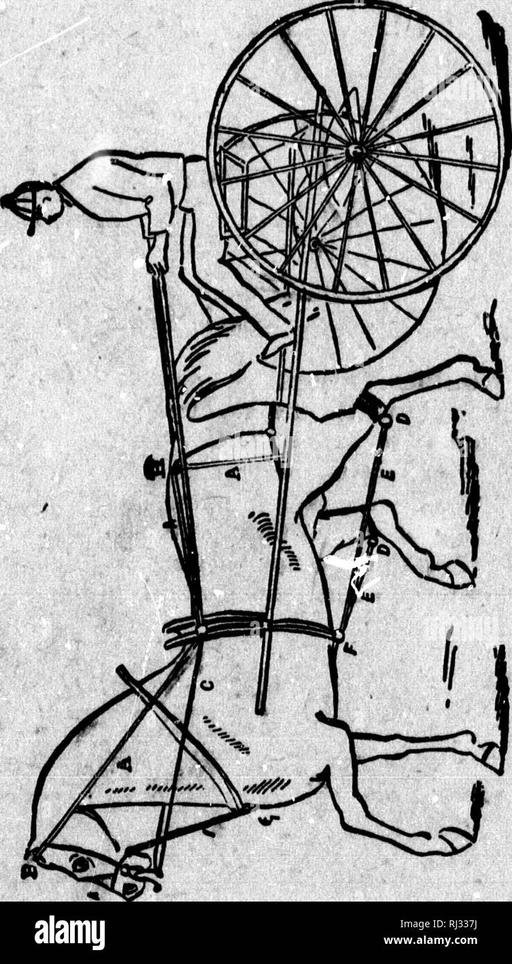 . Gleason's veterinary hand-book and system of horse taming [microform ...