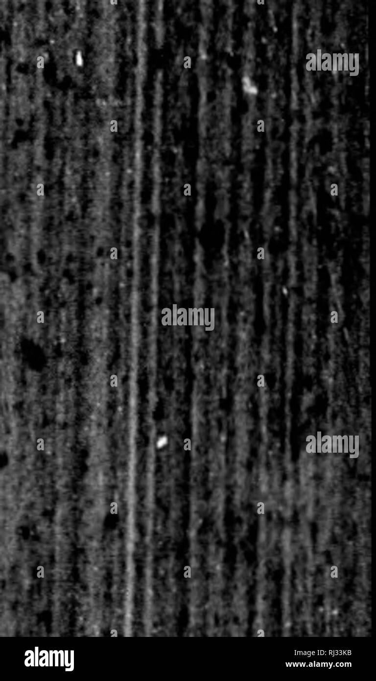 Poisson’s bright spot hi-res stock photography and images - Alamy