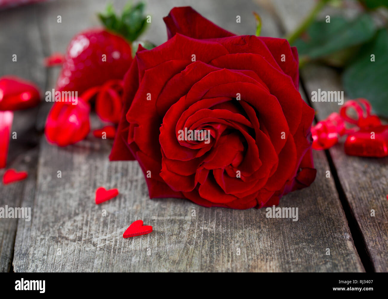 Rose red ribbons hi-res stock photography and images - Alamy