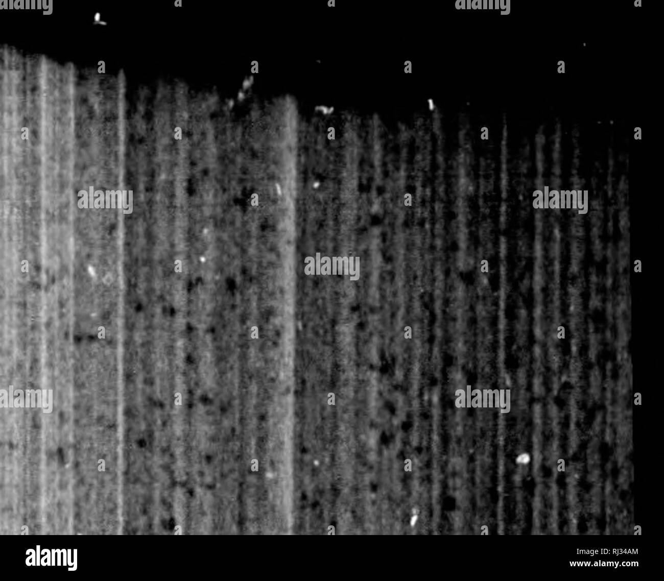 Transverse bands Black and White Stock Photos & Images - Alamy