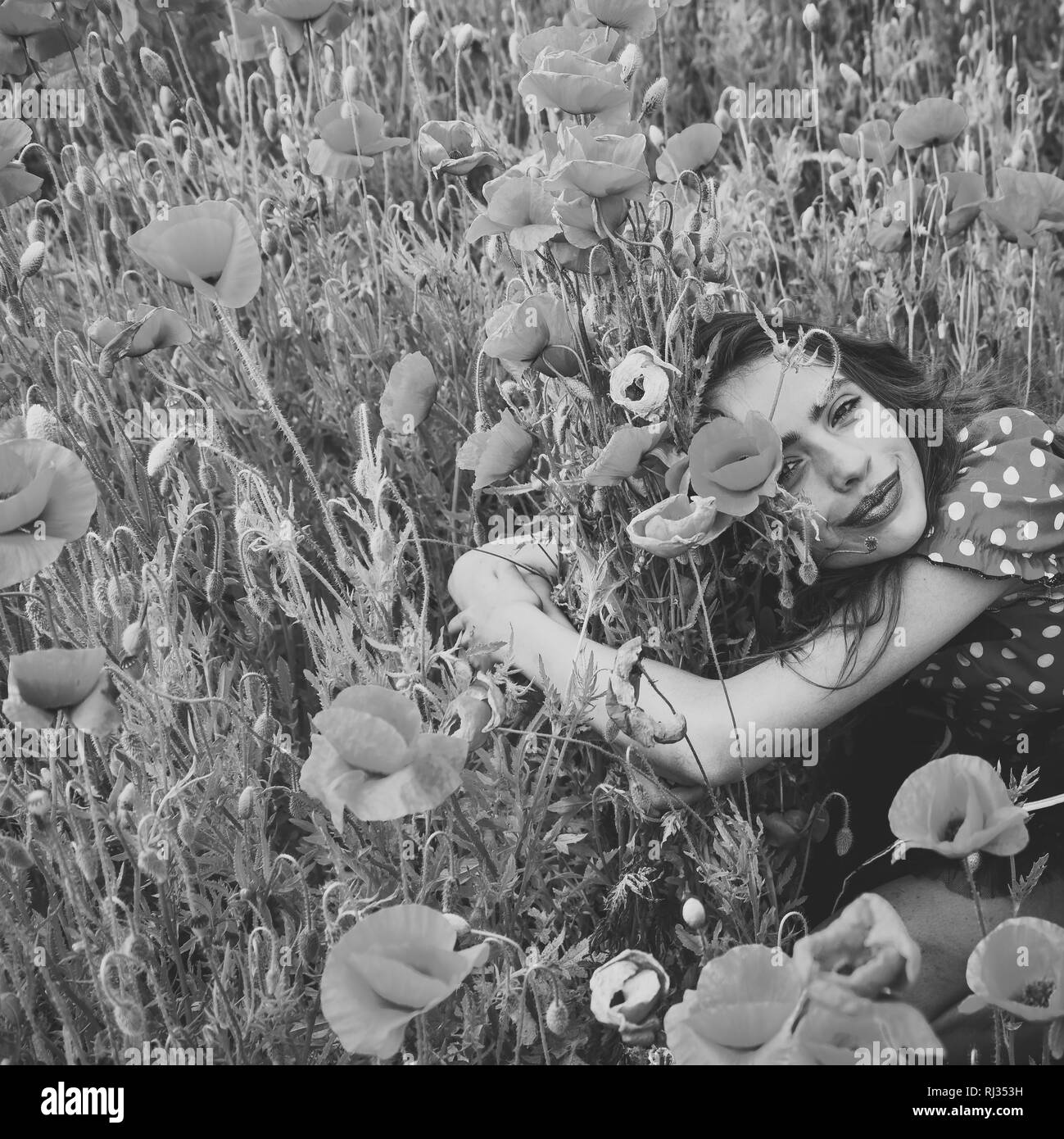 Woman in poppy flower field, harvest Stock Photo - Alamy