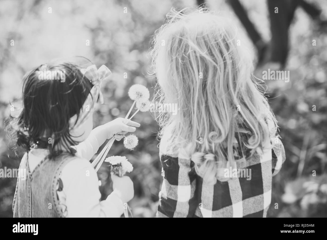 Children pick dandelion flowers in spring or summer park Stock Photo ...