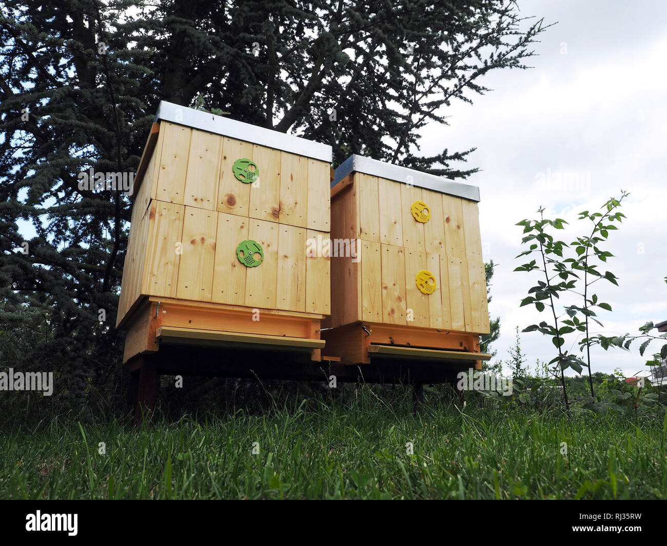 Wooden hives hi-res stock photography and images - Alamy