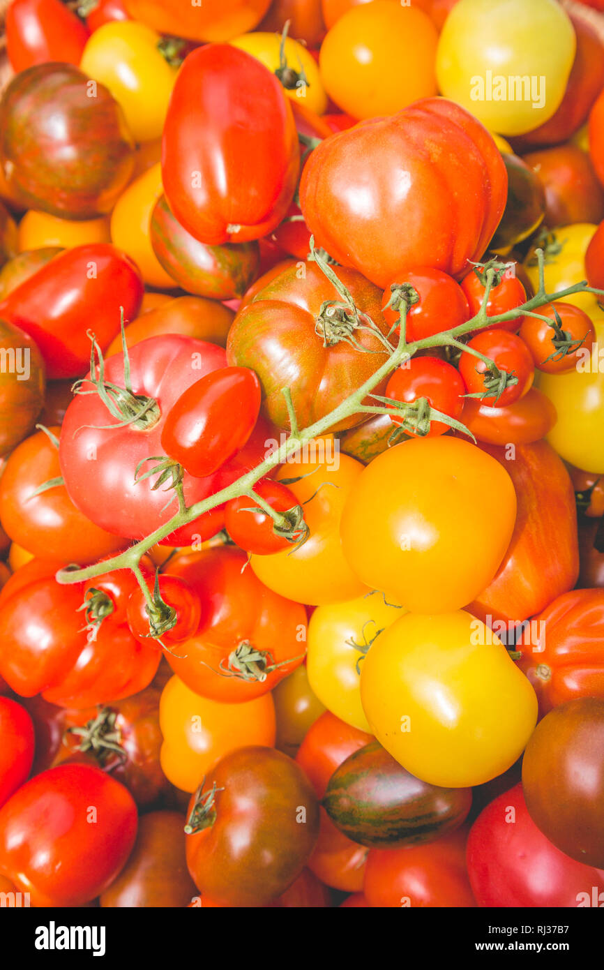 Colourful tomatos hi-res stock photography and images - Alamy