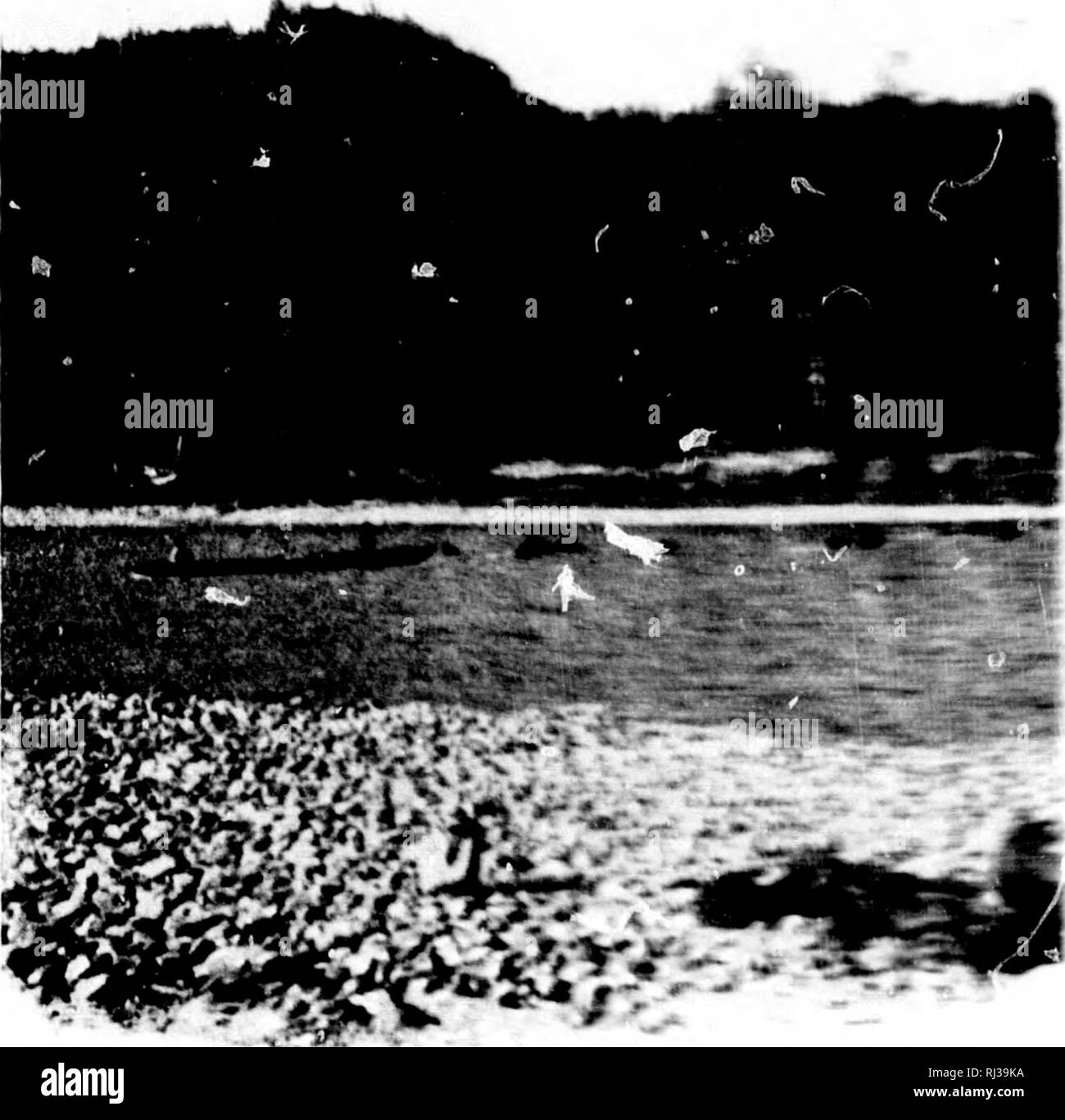 Reibi hi-res stock photography and images - Alamy