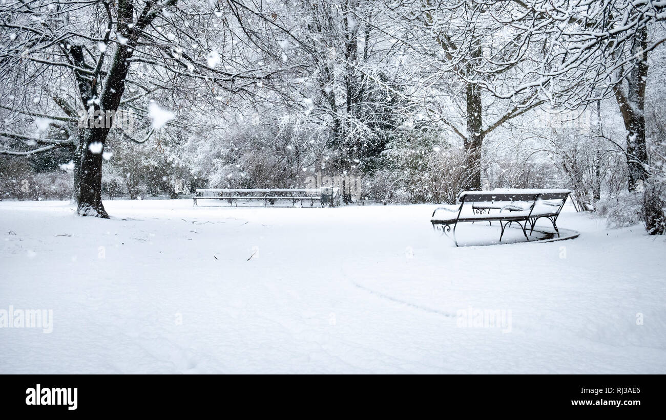 Dresden, 2019 (Blüher Park): Snowed in park bench and trees after fresh ...