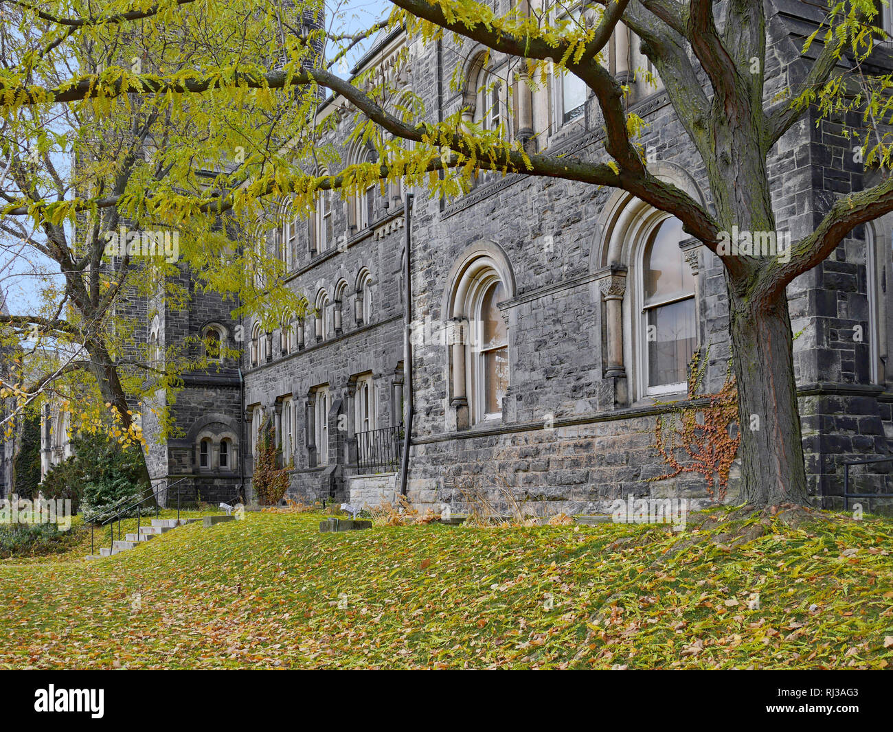 TORONTO - NOVEMBER 2018: The University of Toronto's downtown campus ...