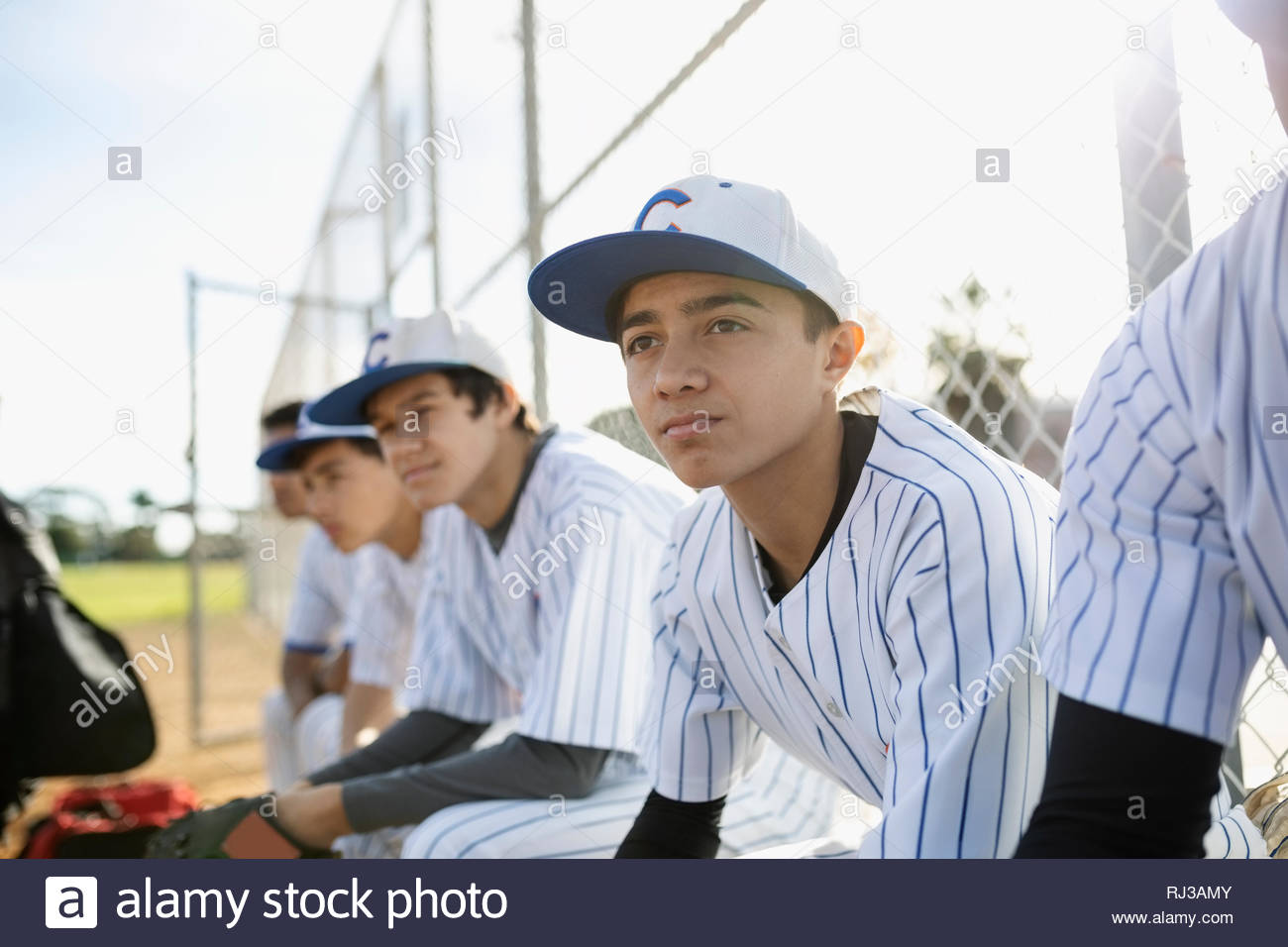 Baseball Team Sitting On Bench Stock Photos & Baseball Team Sitting On ...