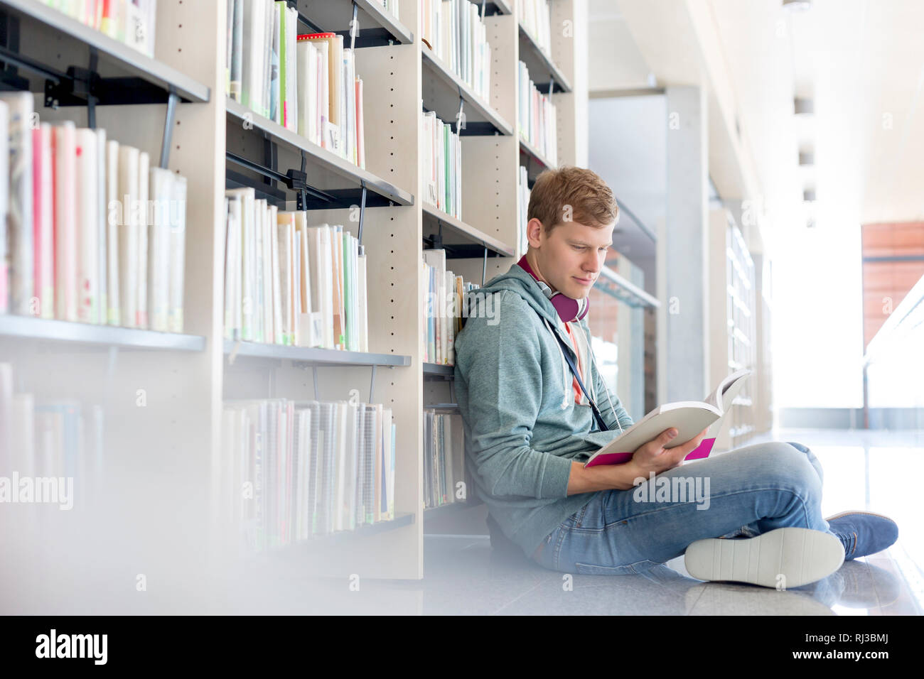 Student reading book against shelf while sitting at university library ...