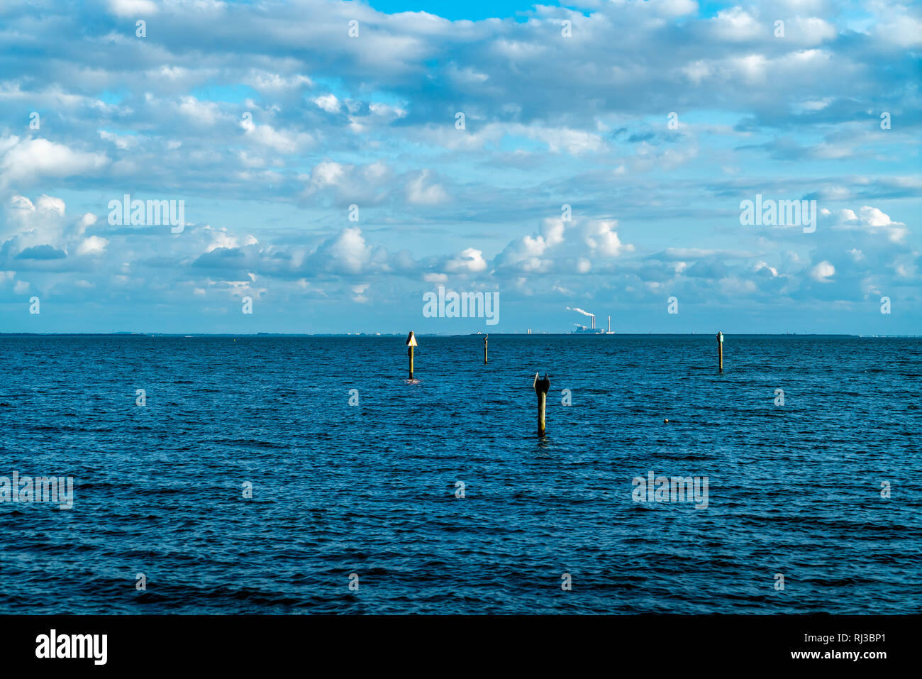 Just some of the magnificent beauty you can see from Ballast Point Park ...