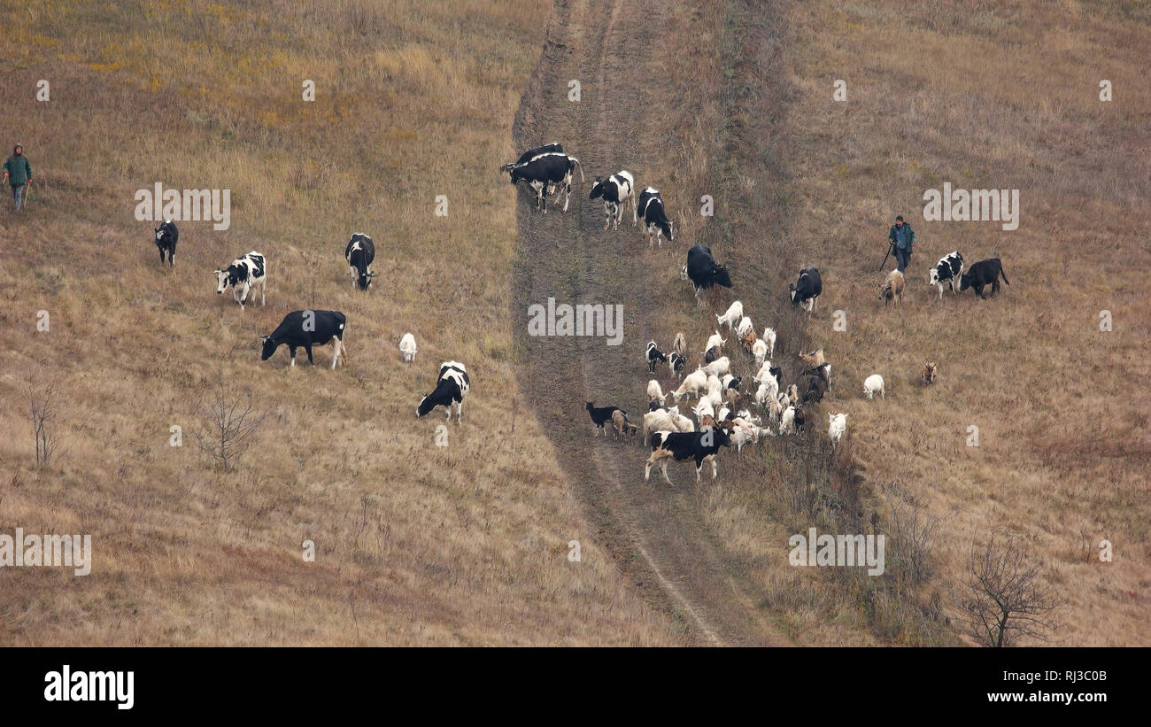 Calf of man aerial hi-res stock photography and images - Alamy