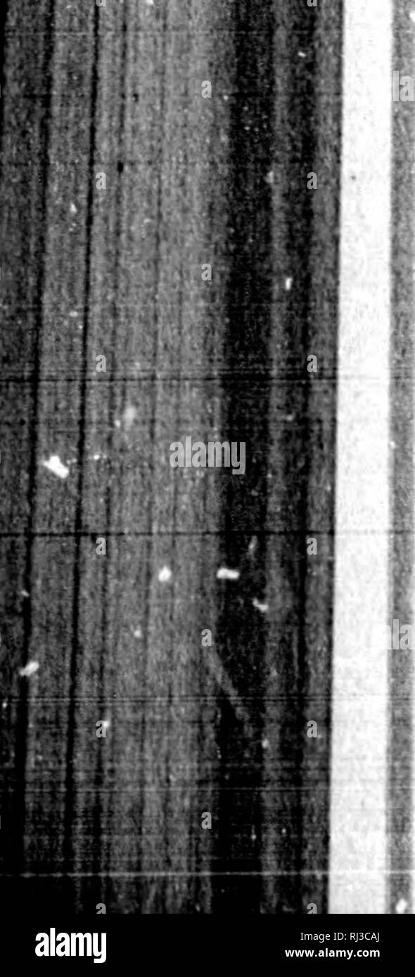 Solatus hi-res stock photography and images - Alamy