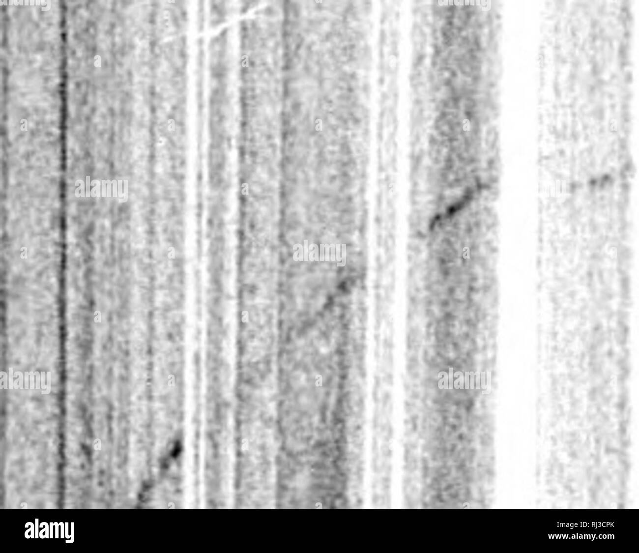 . The fishes of North and Middle America [microform] : a descriptive ...