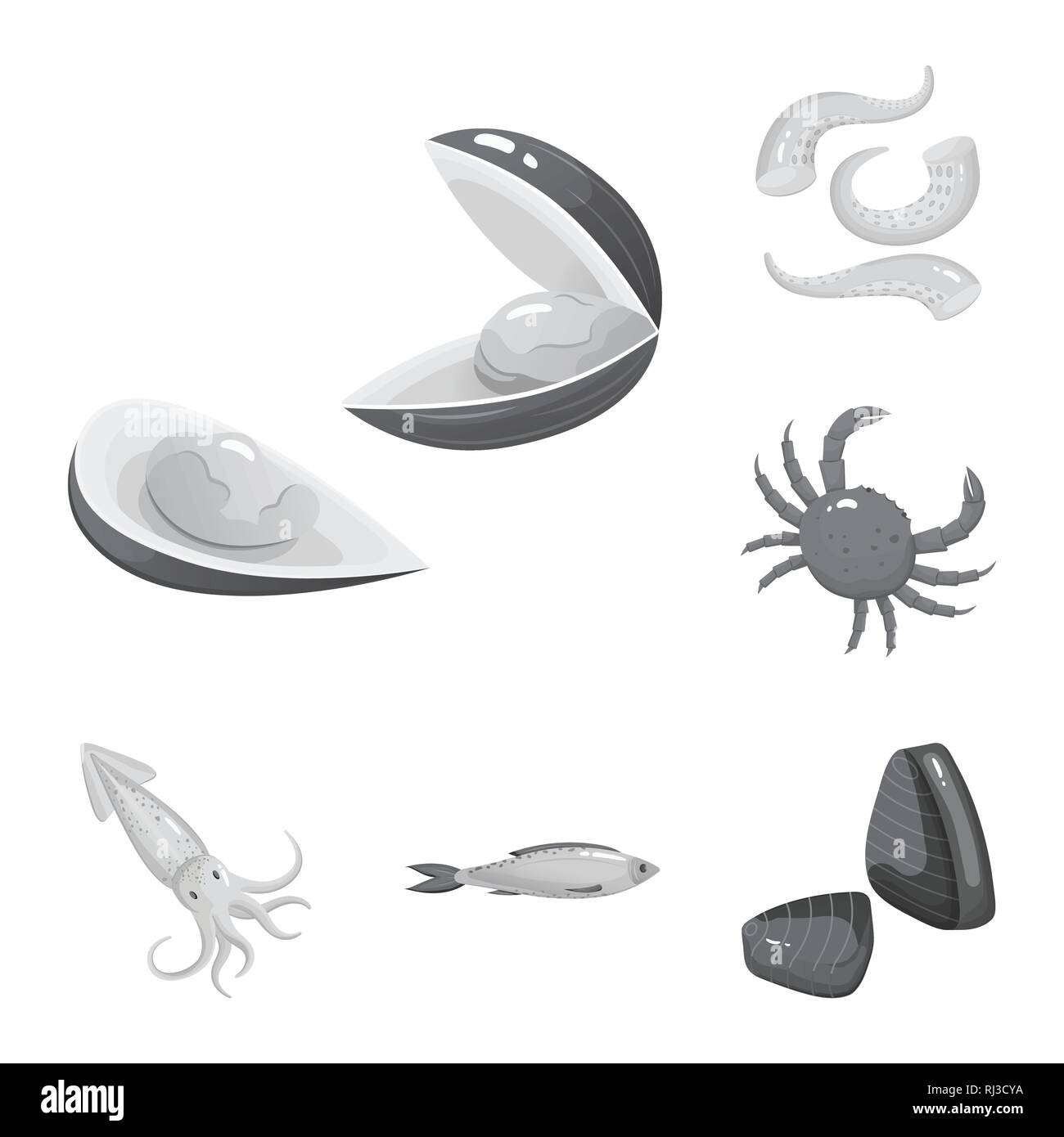 mussel,octopus,crab,salmon,jelly,squid,shell,fish,oyster,monster ...