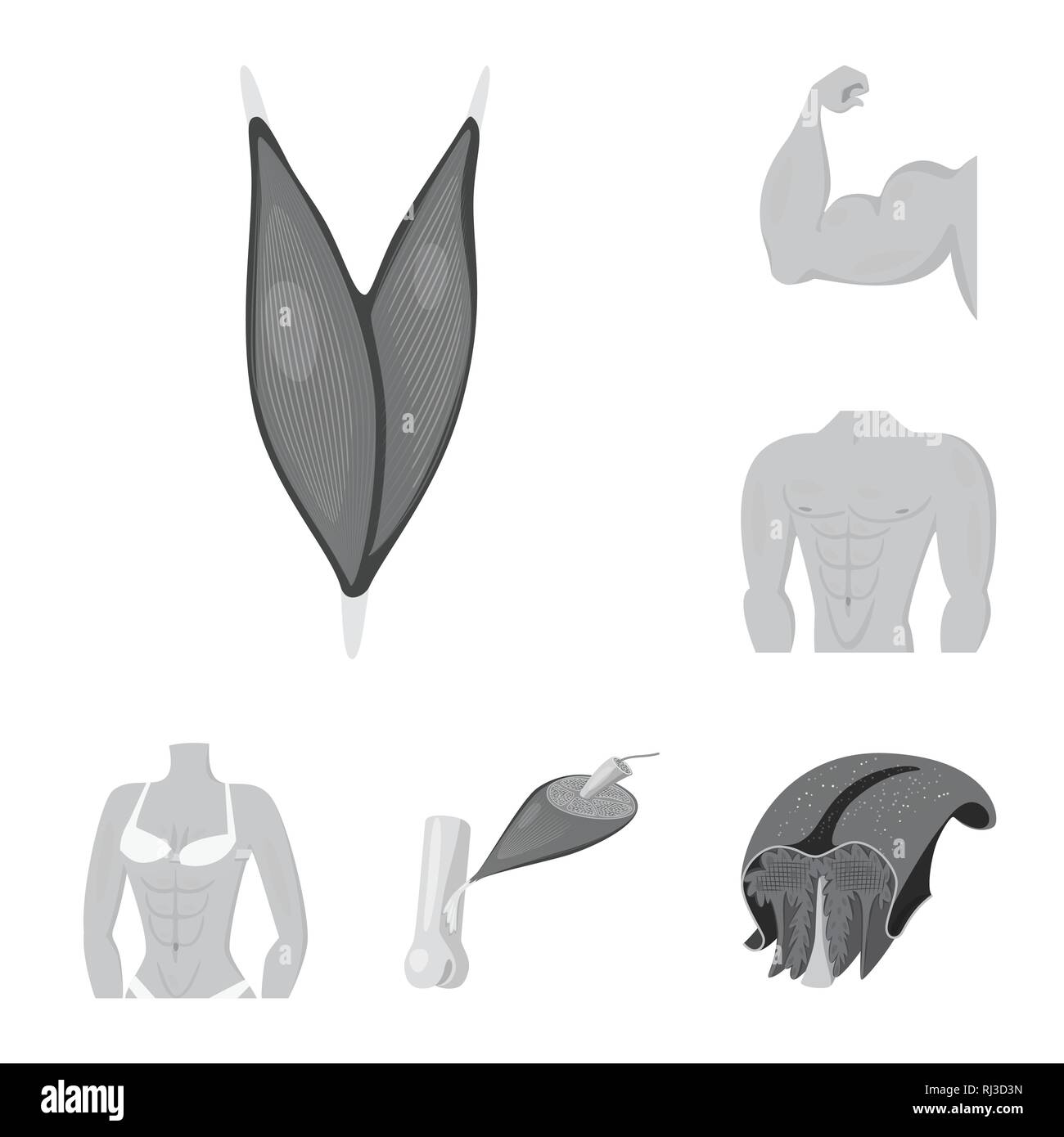 Vector illustration of human and body symbol. Collection of human and ...