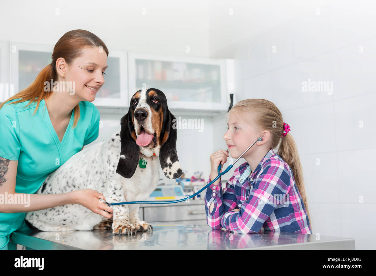 Smiling veterinary doctor holding dog while girl listening through ...