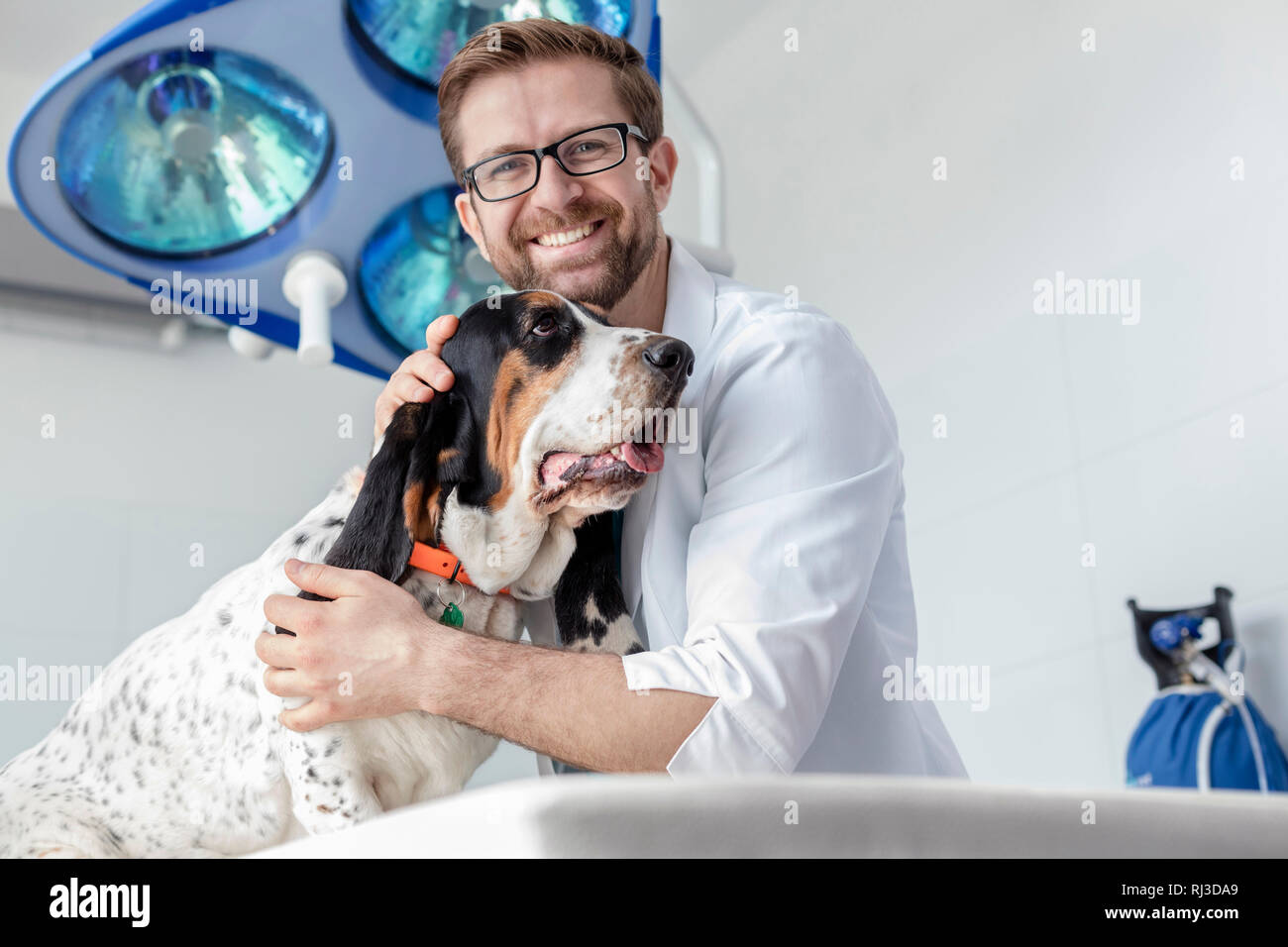 Working with animal hi-res stock photography and images - Alamy