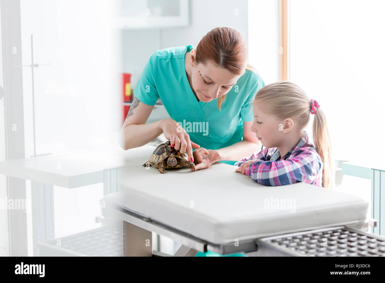 The turtle girl hi-res stock photography and images - Alamy