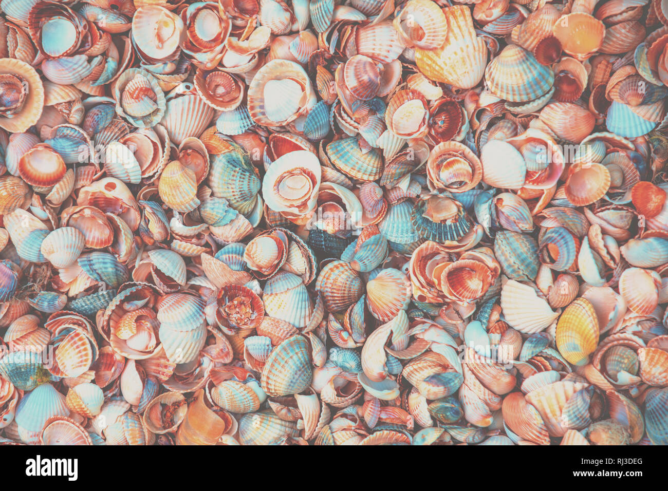 Natural abstract vintage colorful shells background Stock Photo - Alamy