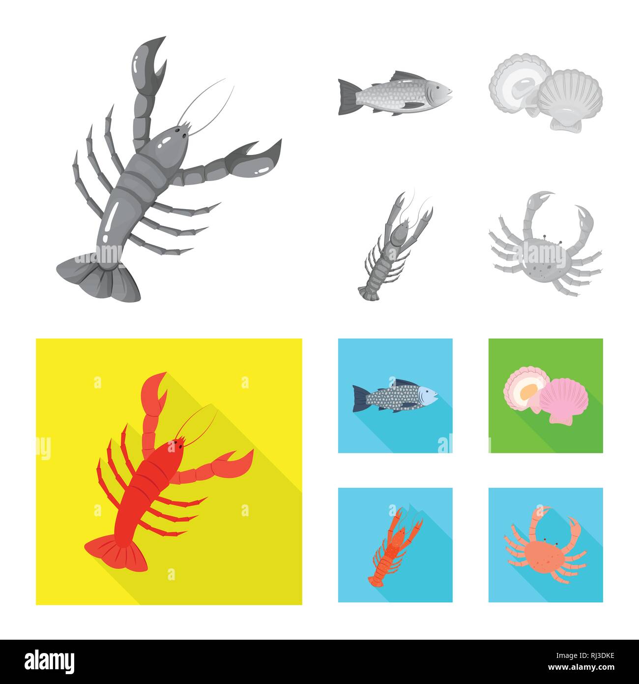 lobster,salmon,jellyfish,crab,crayfish,fish,cooked,shell,meat,trout ...