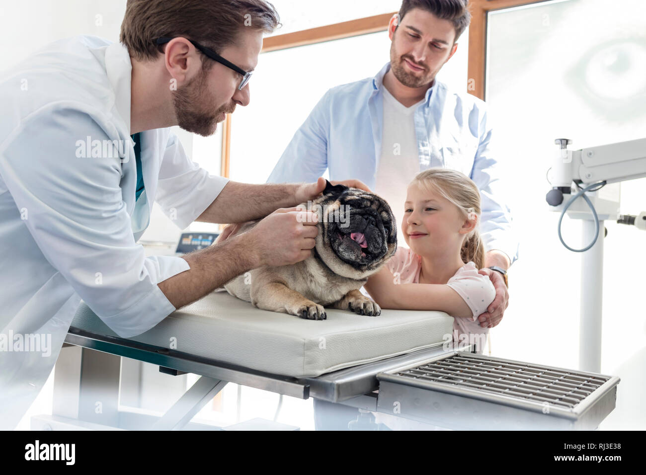 Doctor animal hi-res stock photography and images - Alamy