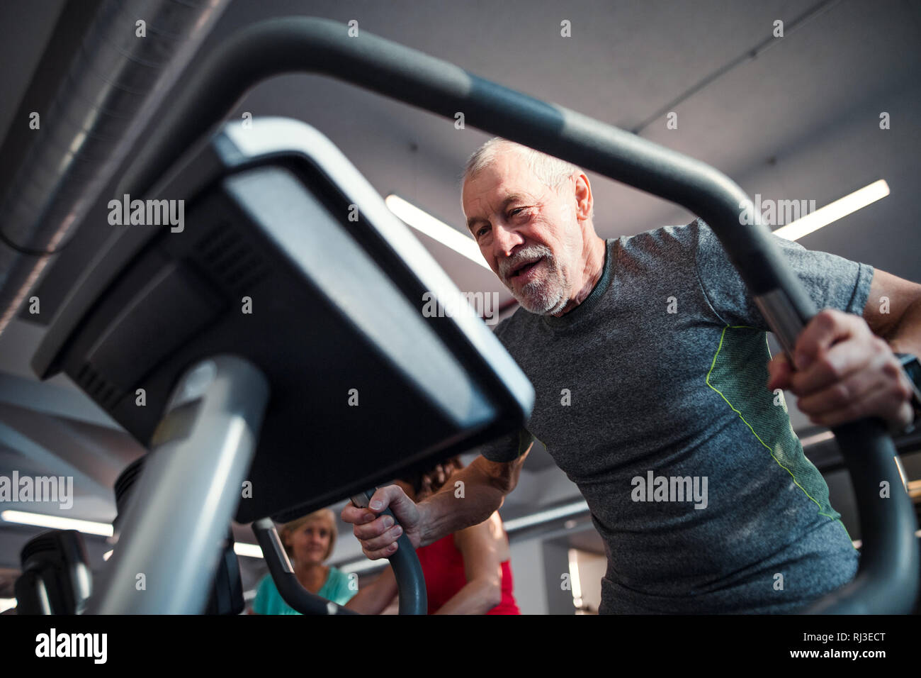 A senior man doing strength workout exercise in gym. Copy space Stock ...