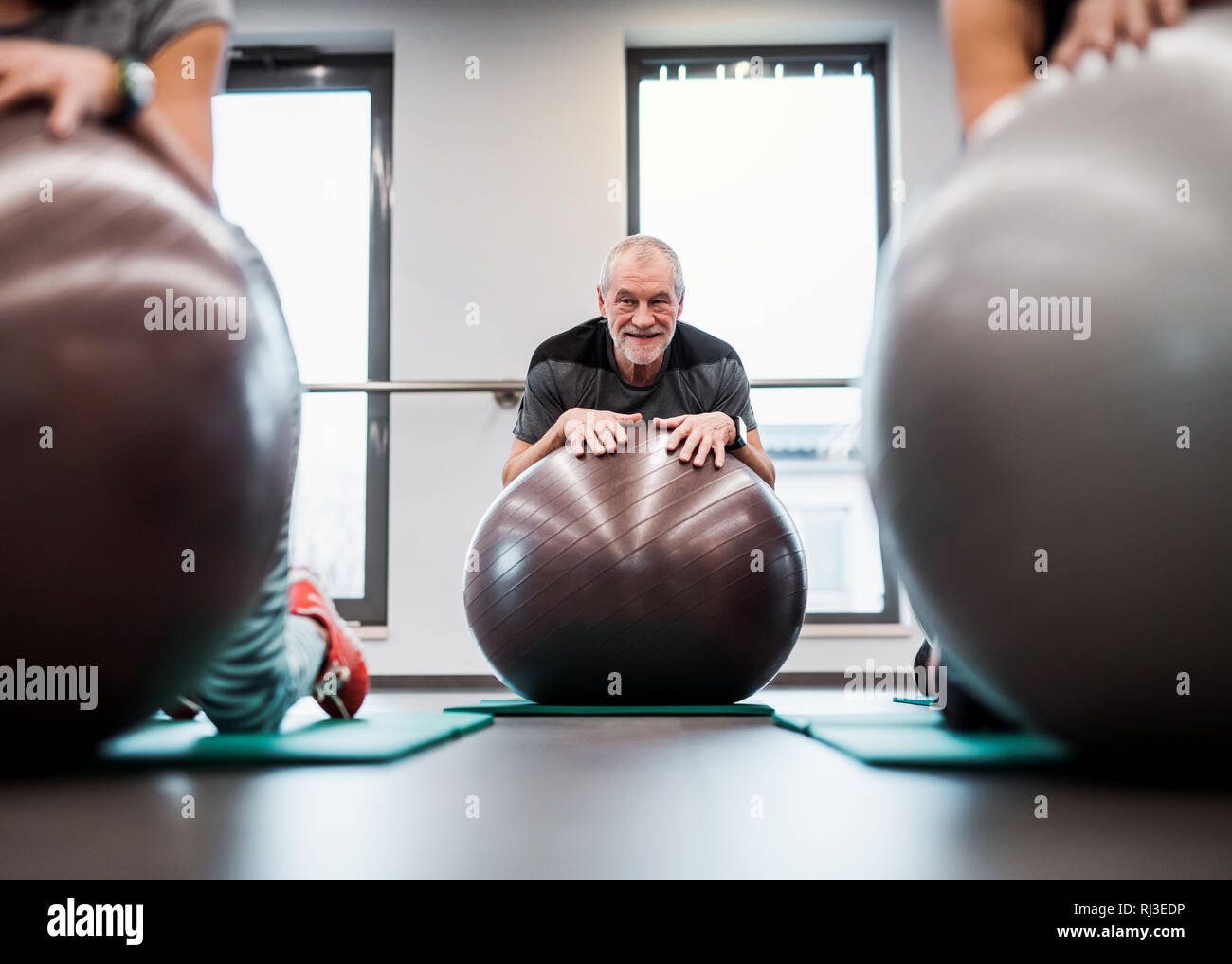 A group of seniors in gym doing exercise with fit balls Stock Photo - Alamy