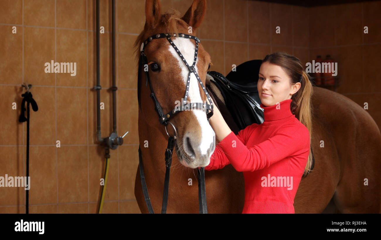 Beautiful girl with her horse in stable Stock Photo - Alamy