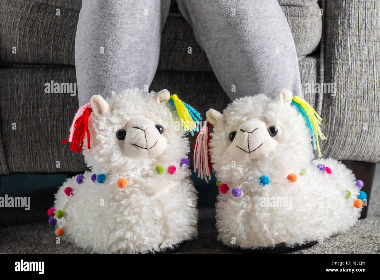 Young girl is wearing cute soft 3d llama slippers, while reading on the ...