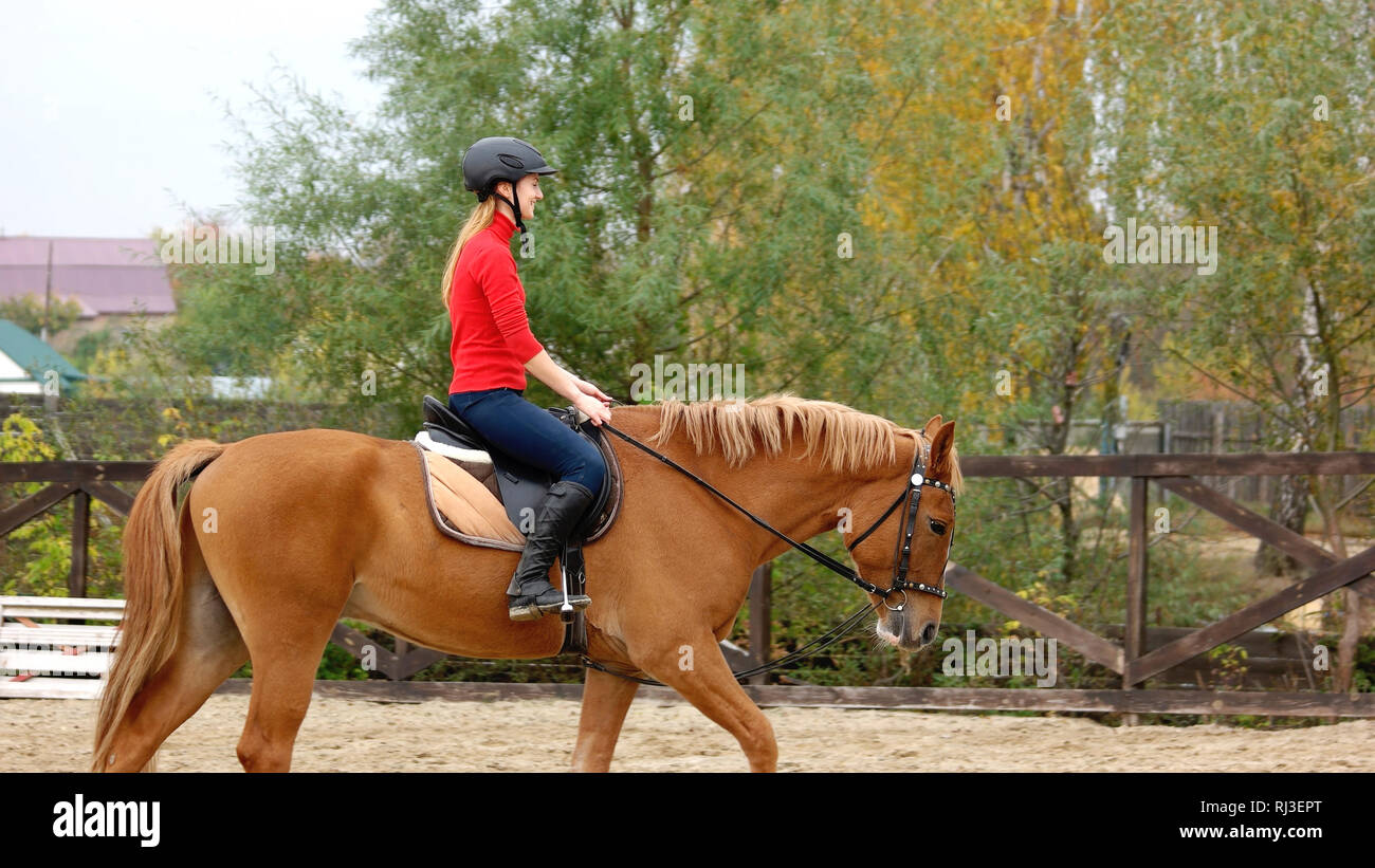 Sporty female jockey practice riding Stock Photo - Alamy