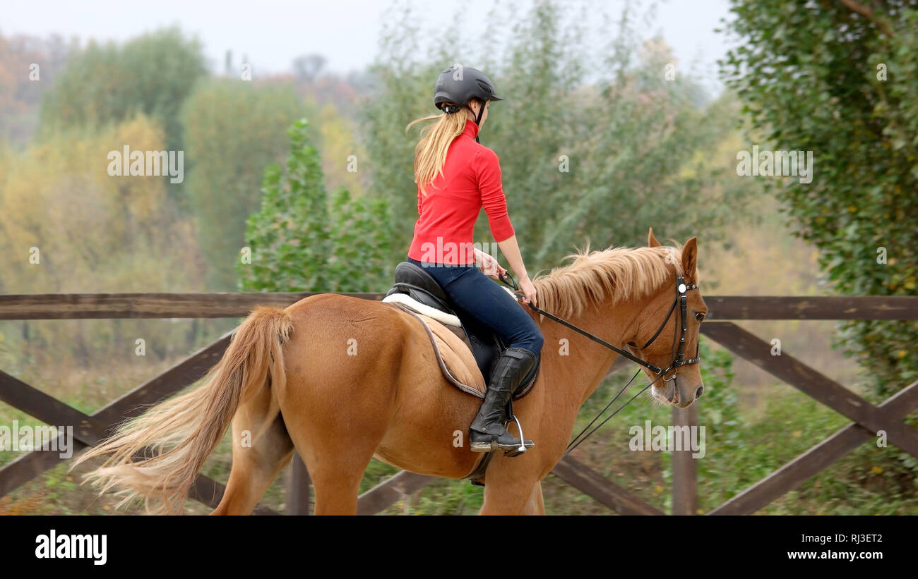 Woman riding horse, back view Stock Photo - Alamy