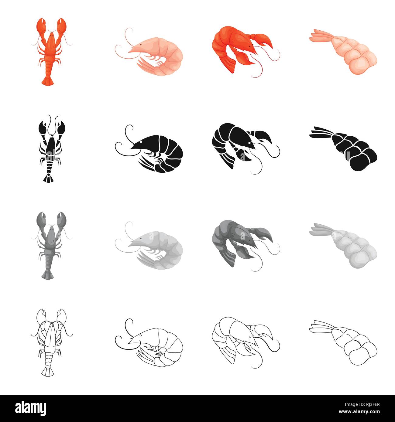 crayfish,prawn,lobster,raw,red,creature,fresh,boiled,cooked,luxury ...