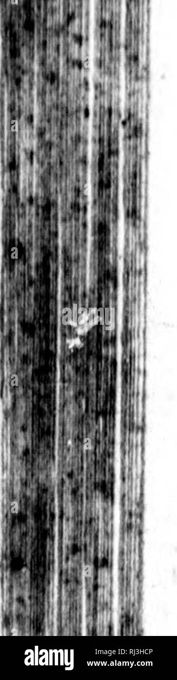 Boven oceaan hi-res stock photography and images - Alamy