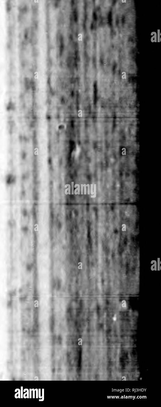 Baai Black and White Stock Photos & Images - Alamy