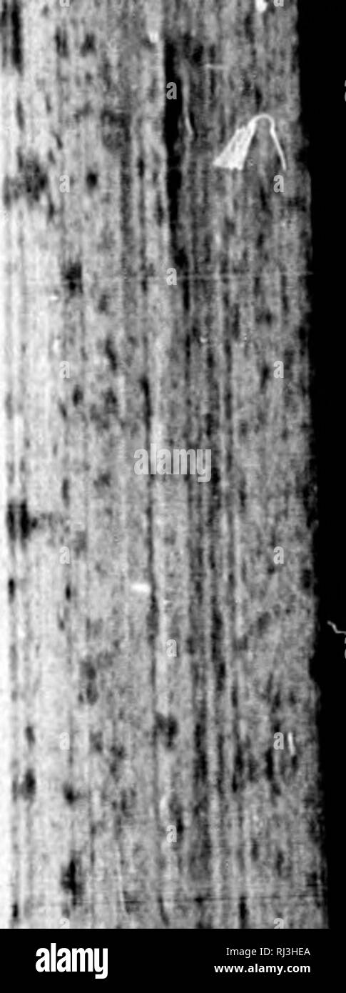 Een oude vrouw Black and White Stock Photos & Images - Alamy