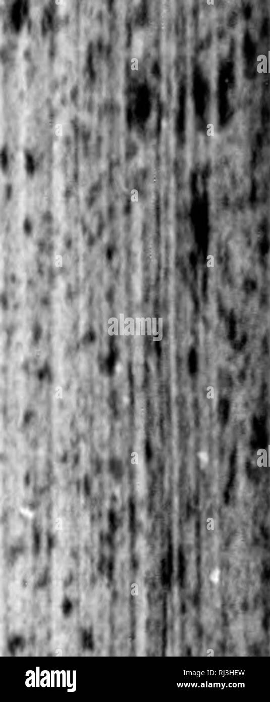 . Landreis van 't Prins van Wallis Fort aan Hudsons Baai naar den ...