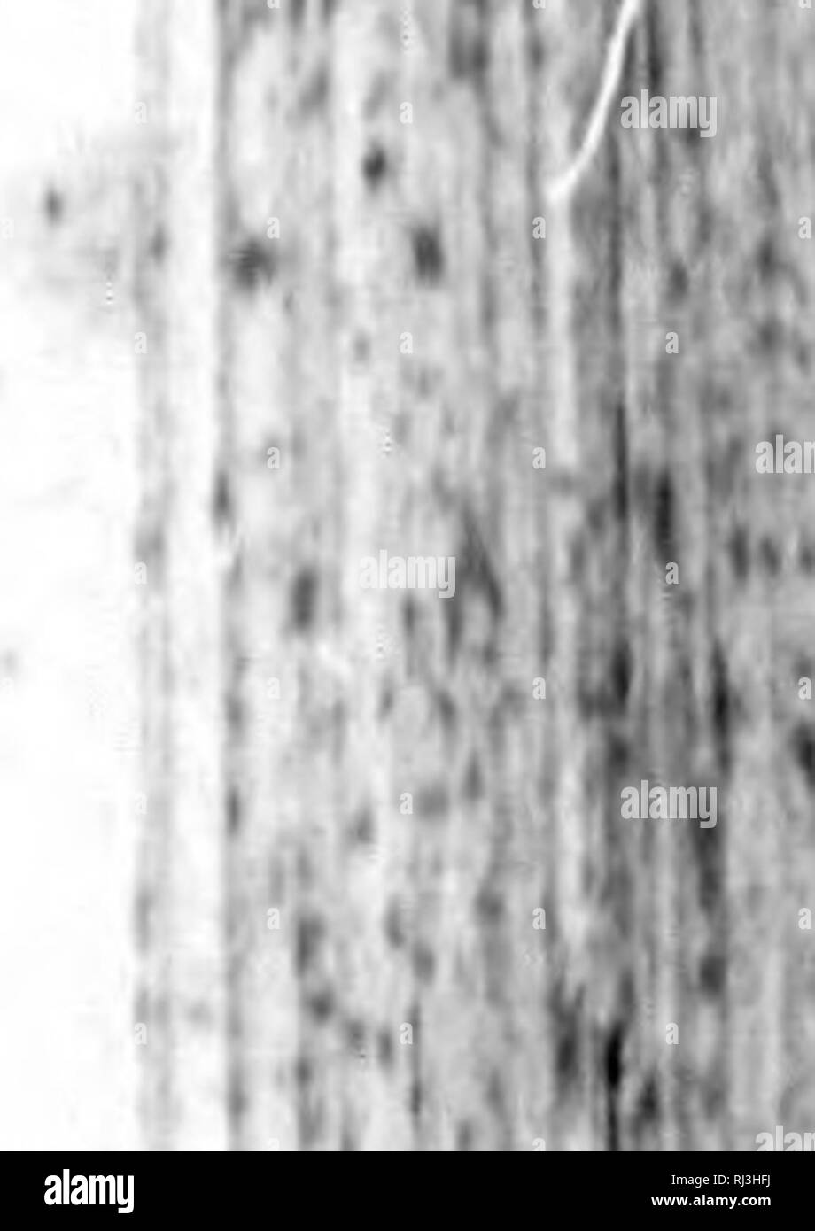 . Landreis van 't Prins van Wallis Fort aan Hudsons Baai naar den ...