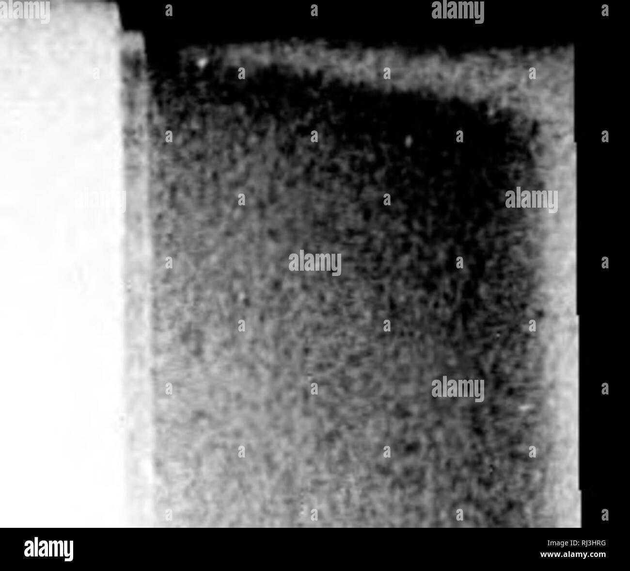 Sarah chasse hi-res stock photography and images - Alamy