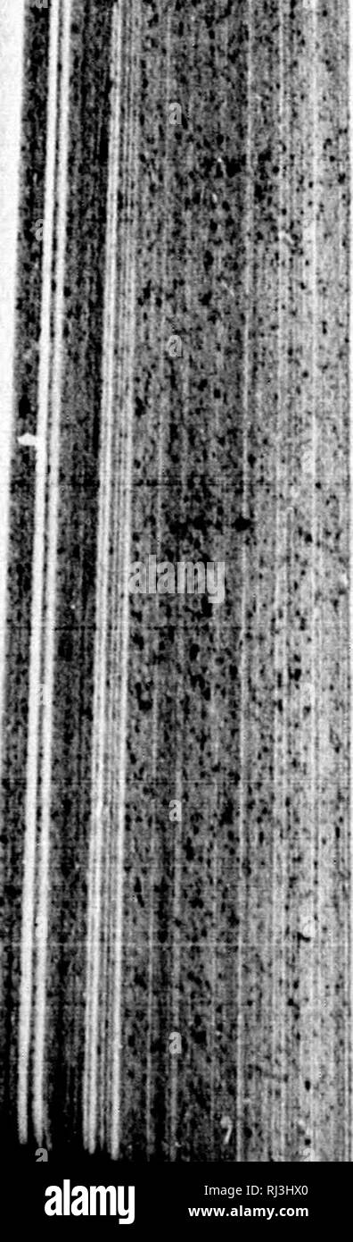 Manger sans personne hi-res stock photography and images - Alamy