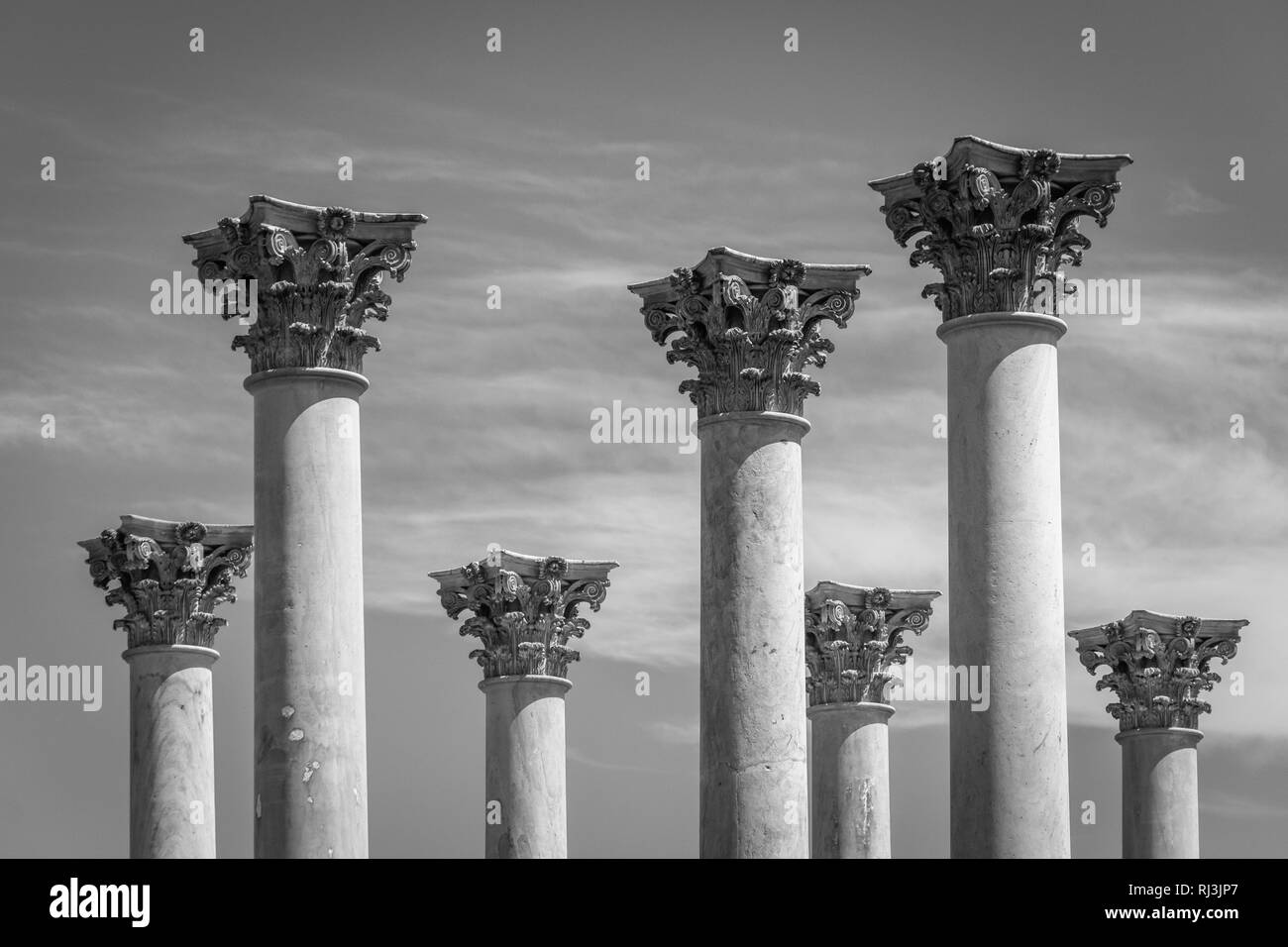 The Capitol Columns at the National Arboretum in Washington, DC Stock ...