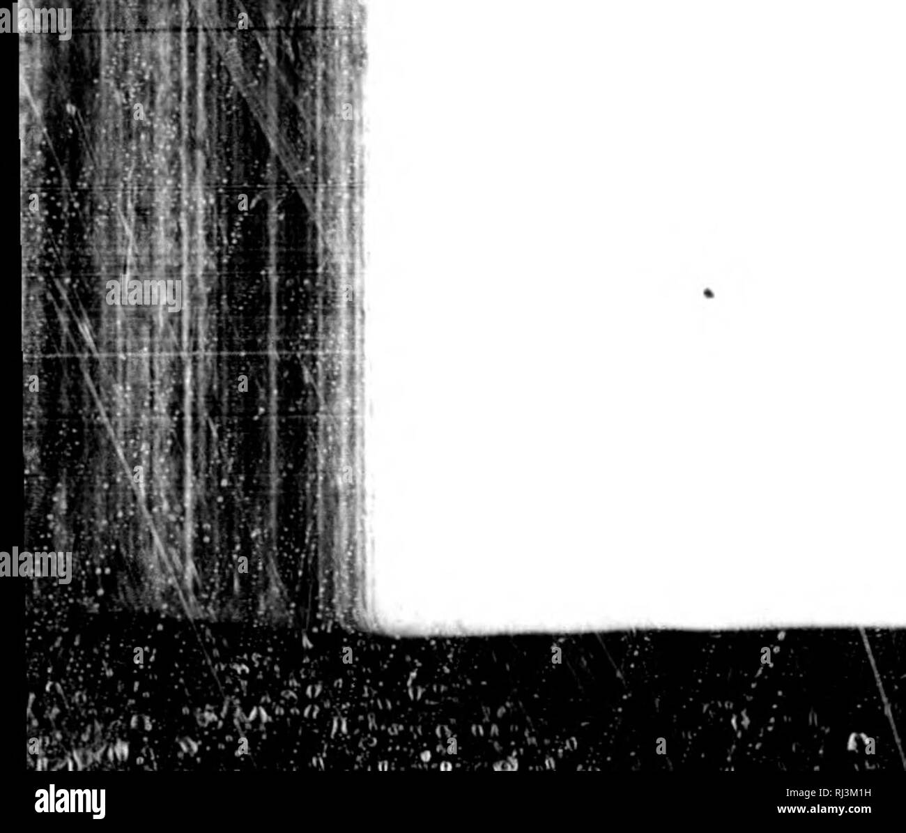 . The Compleat geographer, or, The chorography and topography of all ...