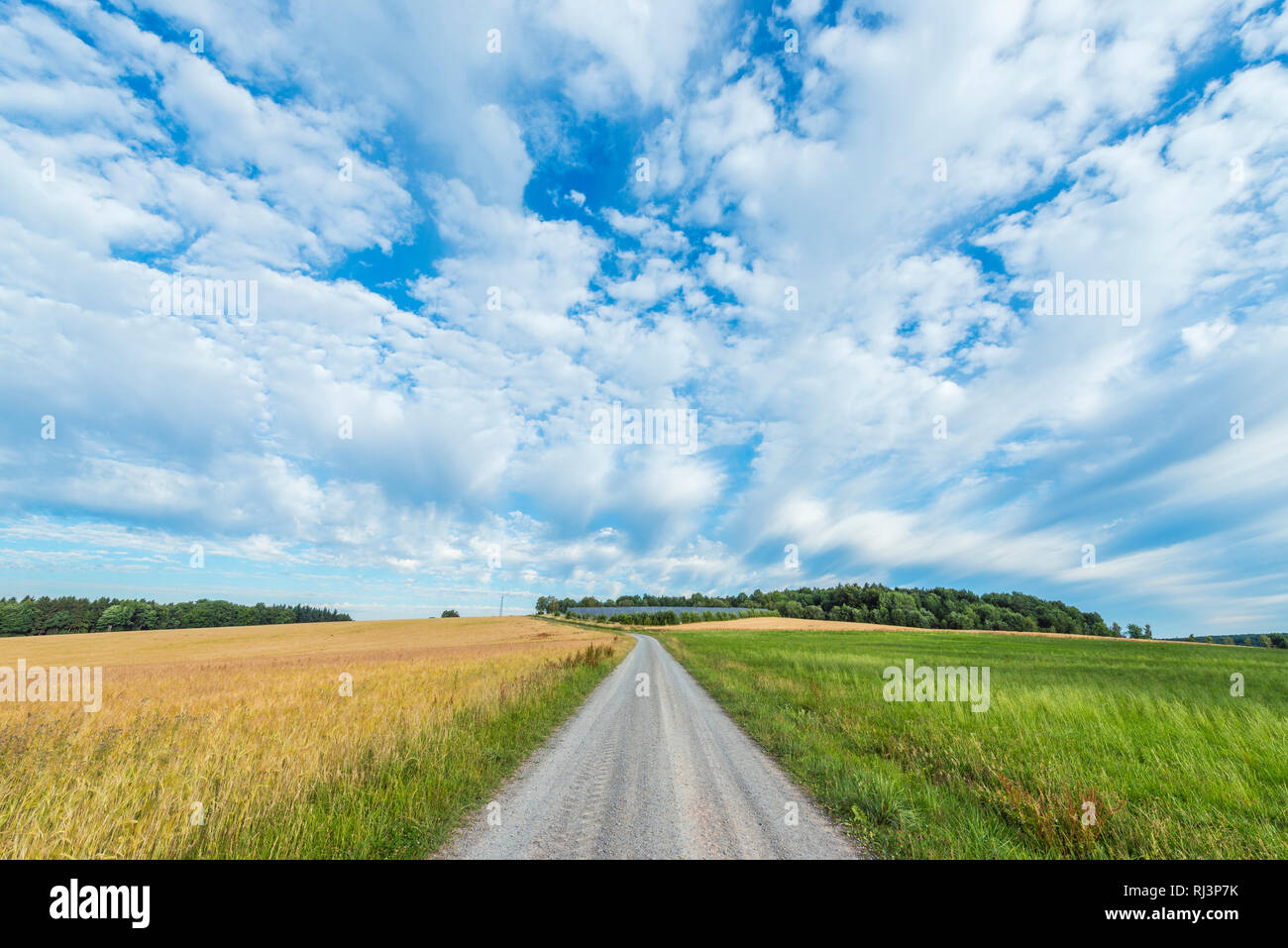 Countryside with Field Path in Summer, Neudorf, Miltenberg, Bavaria ...