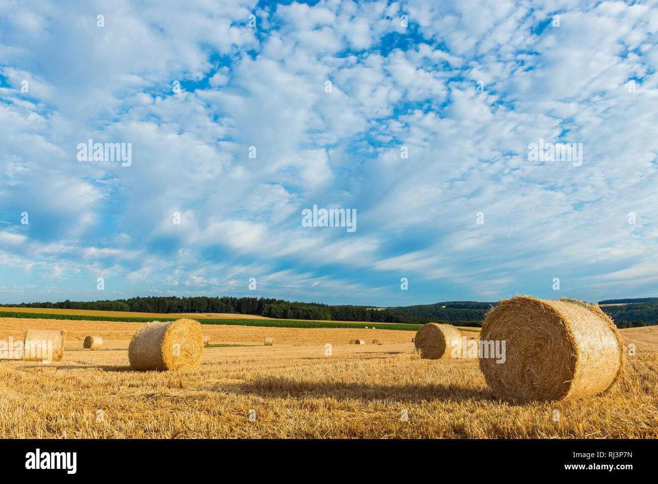 Straw Rolls in Countryside in Summer, Neudorf, Miltenberg, Bavaria ...